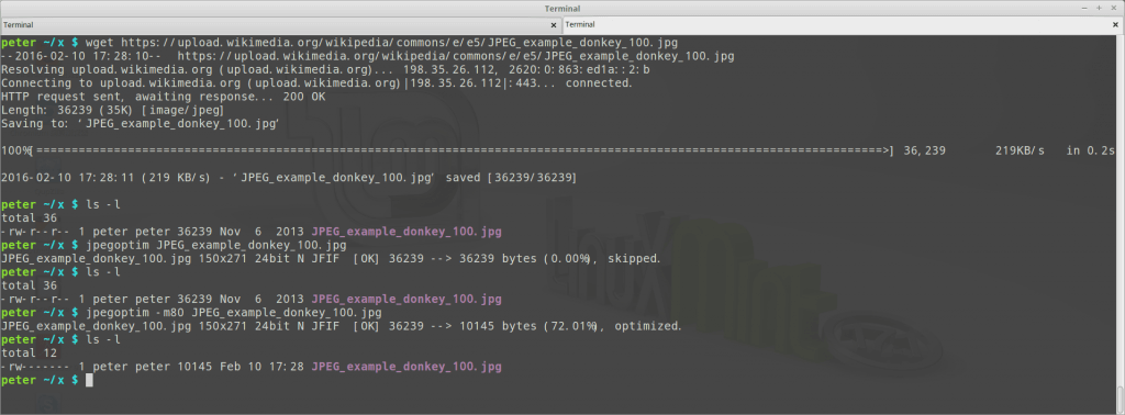 Use 'jpegoptim' to optimize/re-compress your jpg images - Peter Dave Hello's BlogPeter Dave ...